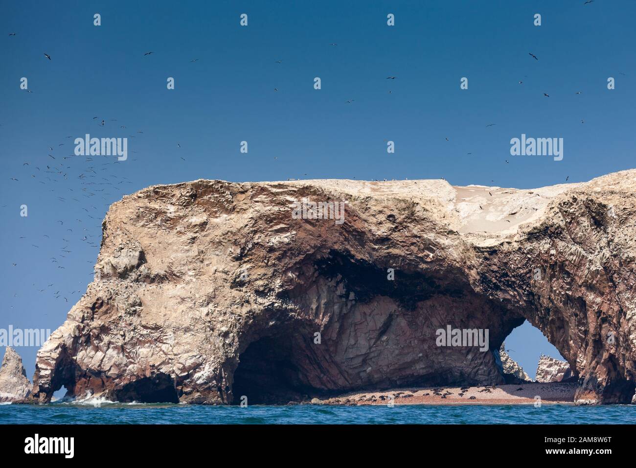 Seelöwe und Pinguin-Rookery am Strand in der Grotte der Ballestas ...