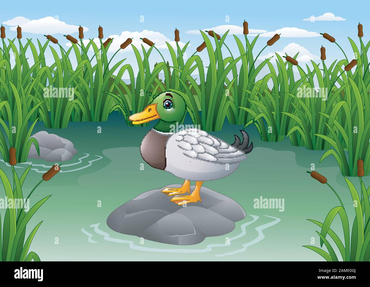 Geflügel auf teich Stock-Vektorgrafiken kaufen - Alamy