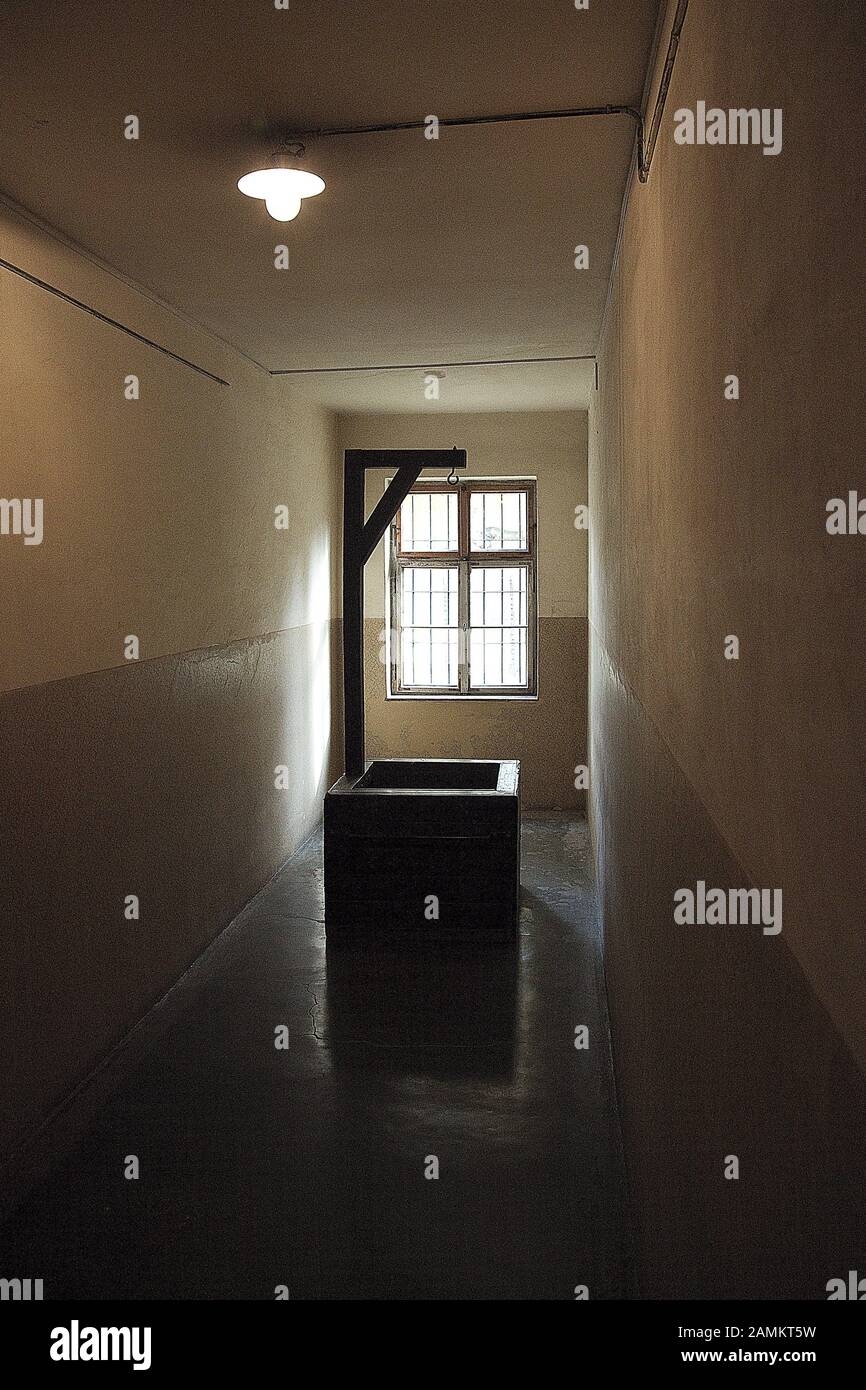 Block 11 auschwitz -Fotos und -Bildmaterial in hoher Auflösung – Alamy