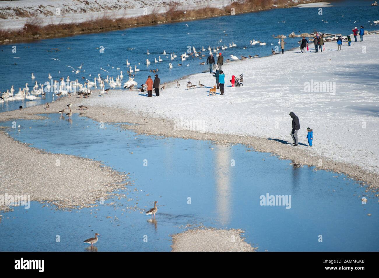 Flaucher at isar river -Fotos und -Bildmaterial in hoher Auflösung – Alamy