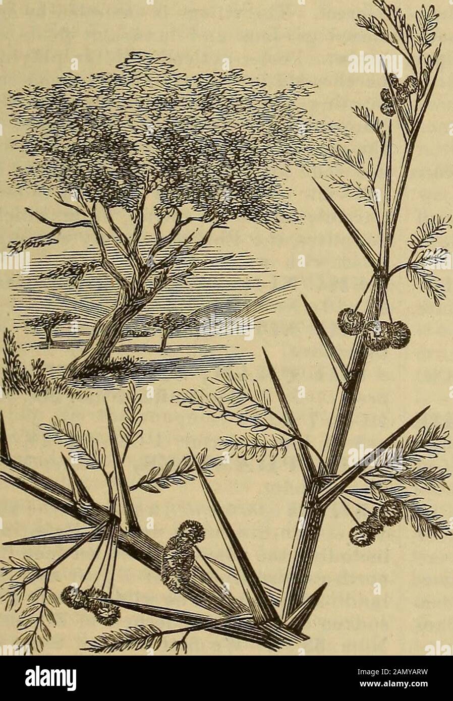 Tim judah -Fotos und -Bildmaterial in hoher Auflösung – Alamy