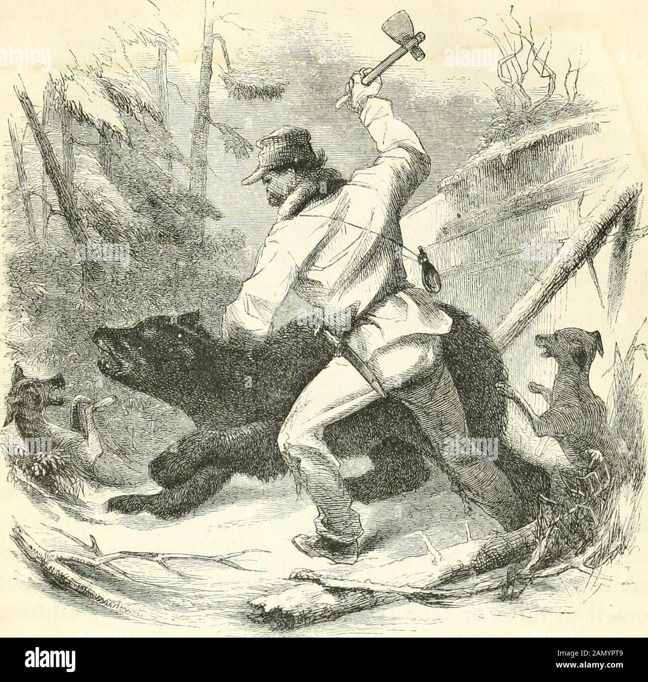 Virginia illustriert: Mit einem Besuch des Virginian Canaan und den ...