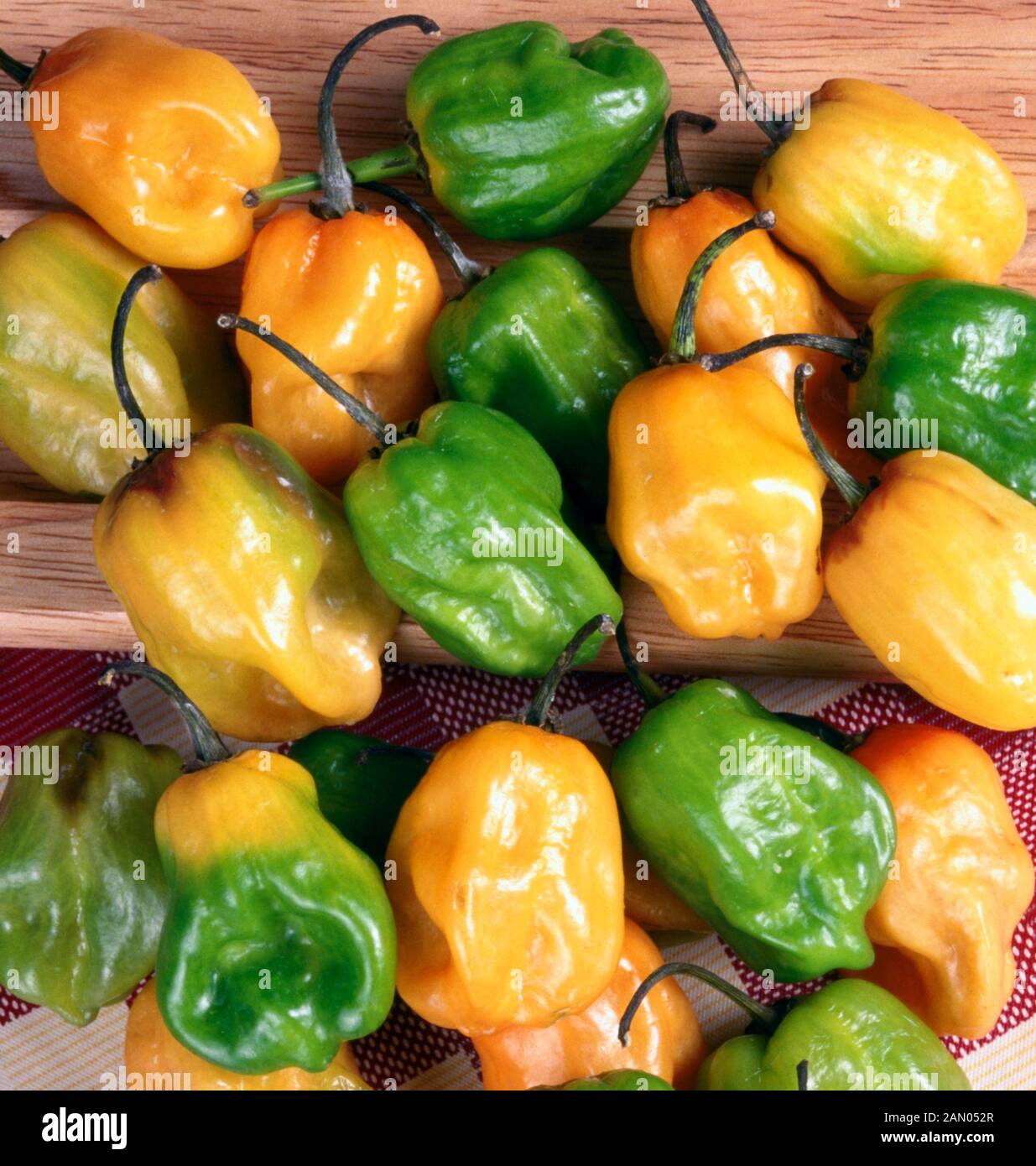 Capsicum Chinense Stockfotos und -bilder Kaufen - Alamy