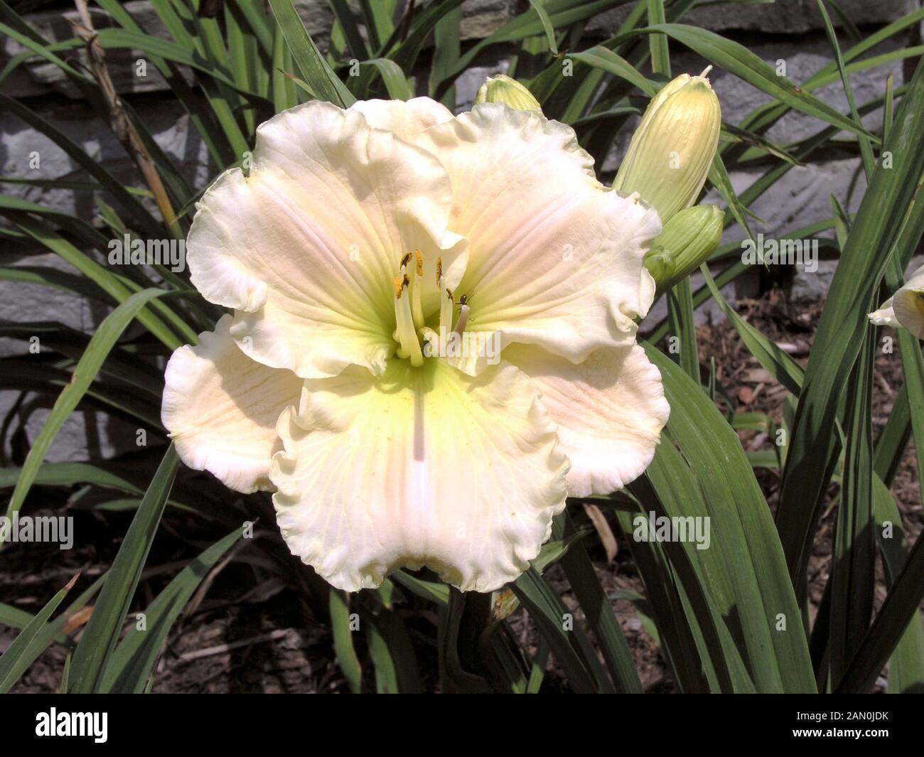 Mary carpenter -Fotos und -Bildmaterial in hoher Auflösung – Alamy
