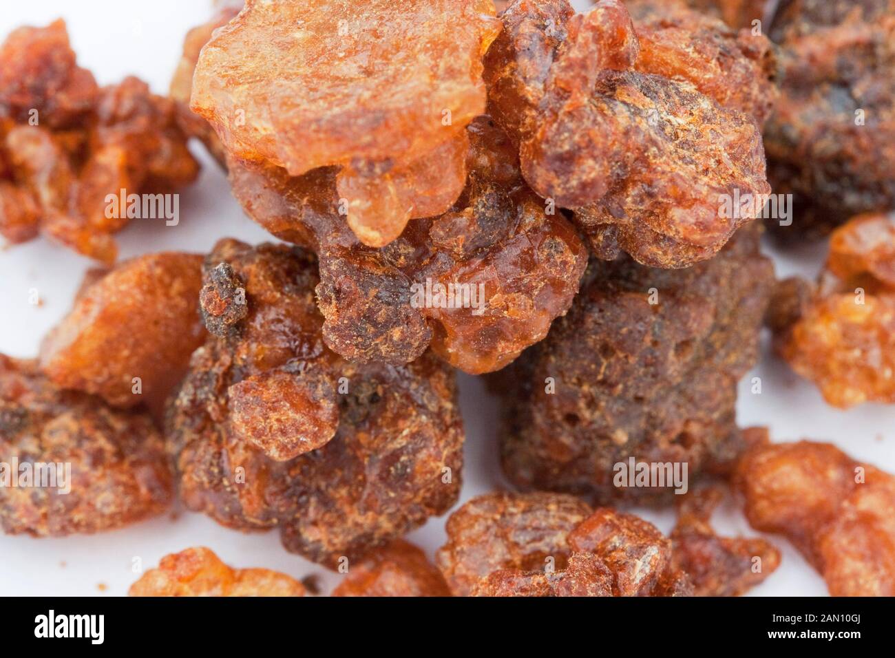 Commiphora myrrha -Fotos und -Bildmaterial in hoher Auflösung – Alamy