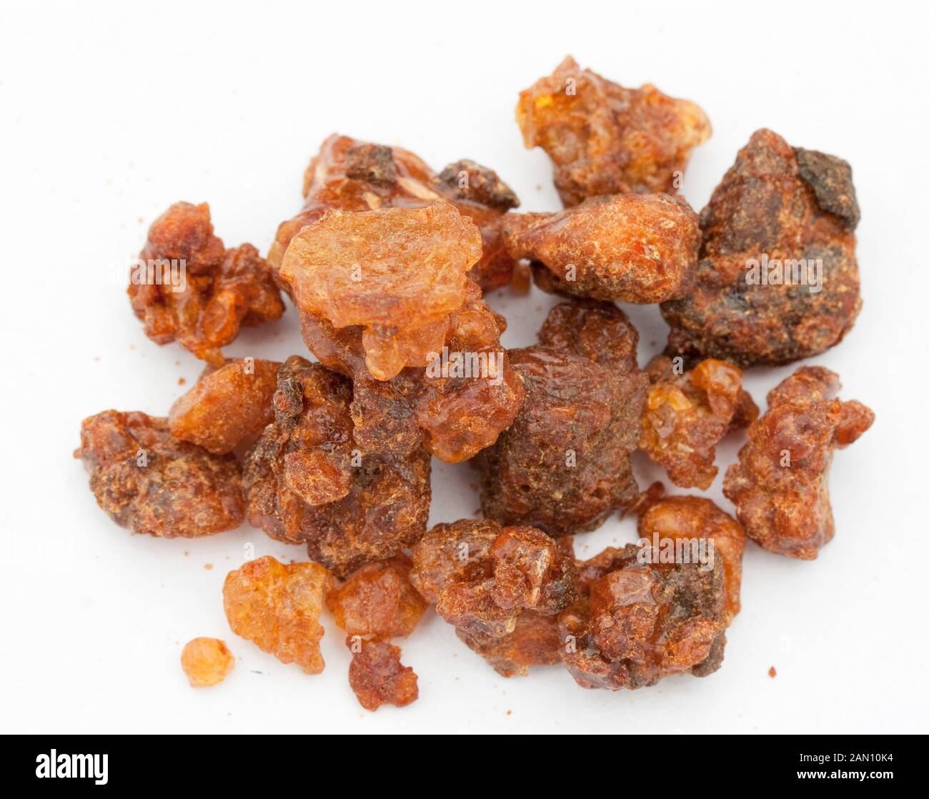 Commiphora Myrrha Stockfotos und -bilder Kaufen - Alamy