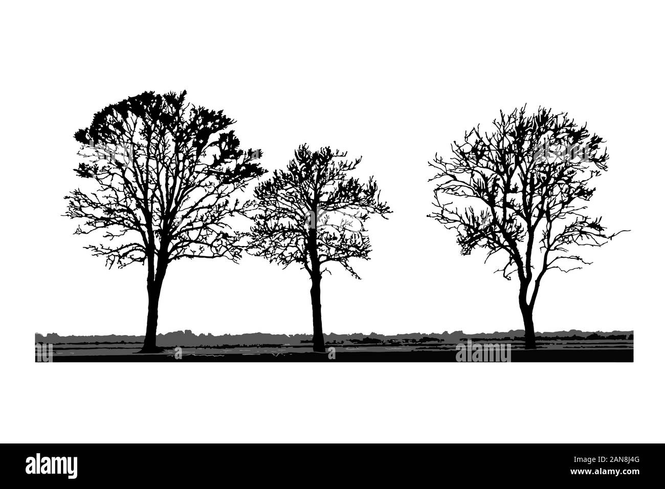 Baum Silhouetten auf weißem Hintergrund. Realistisch eingestellt von ...