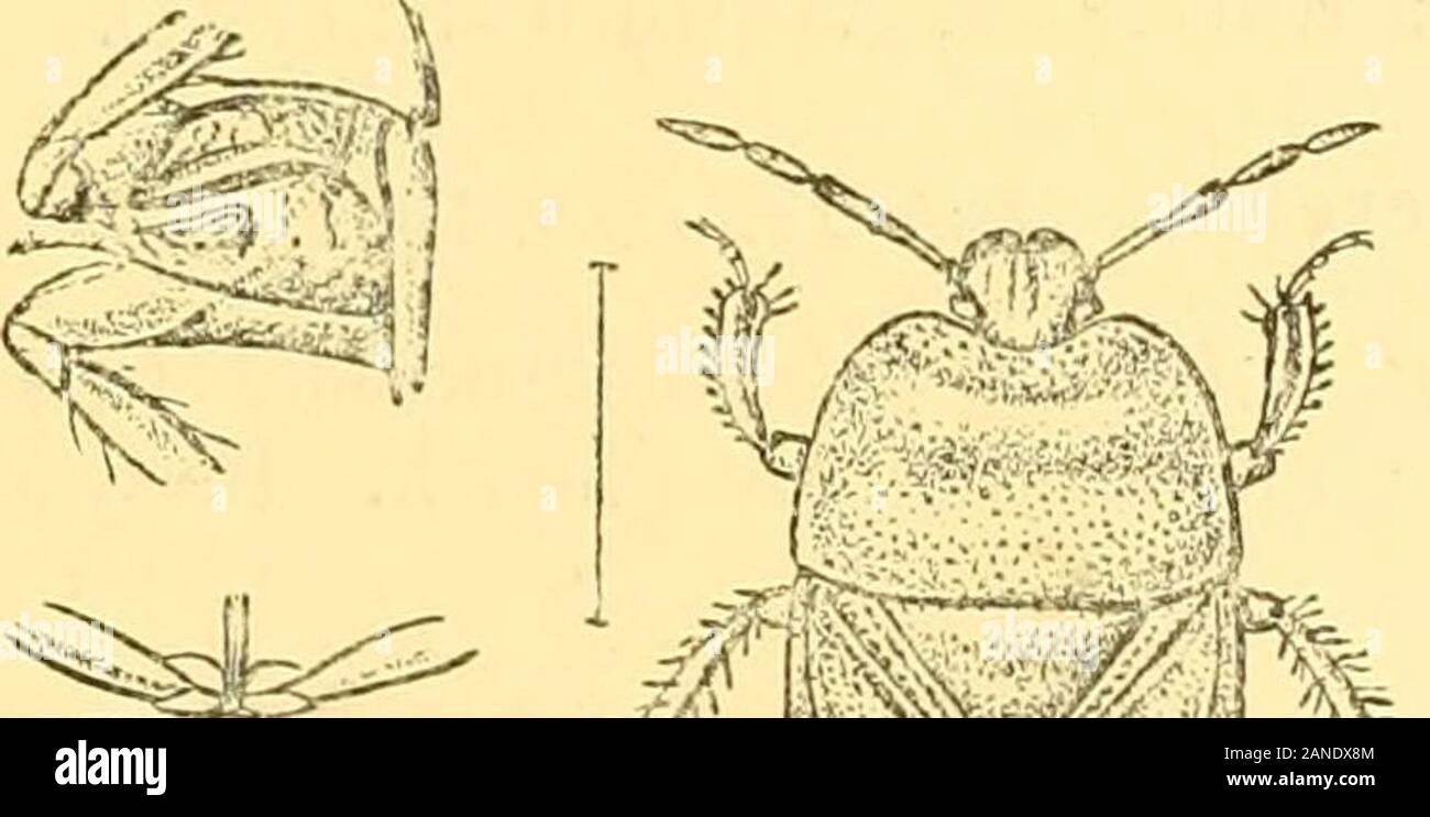 Iso dreieckig -Fotos und -Bildmaterial in hoher Auflösung – Alamy