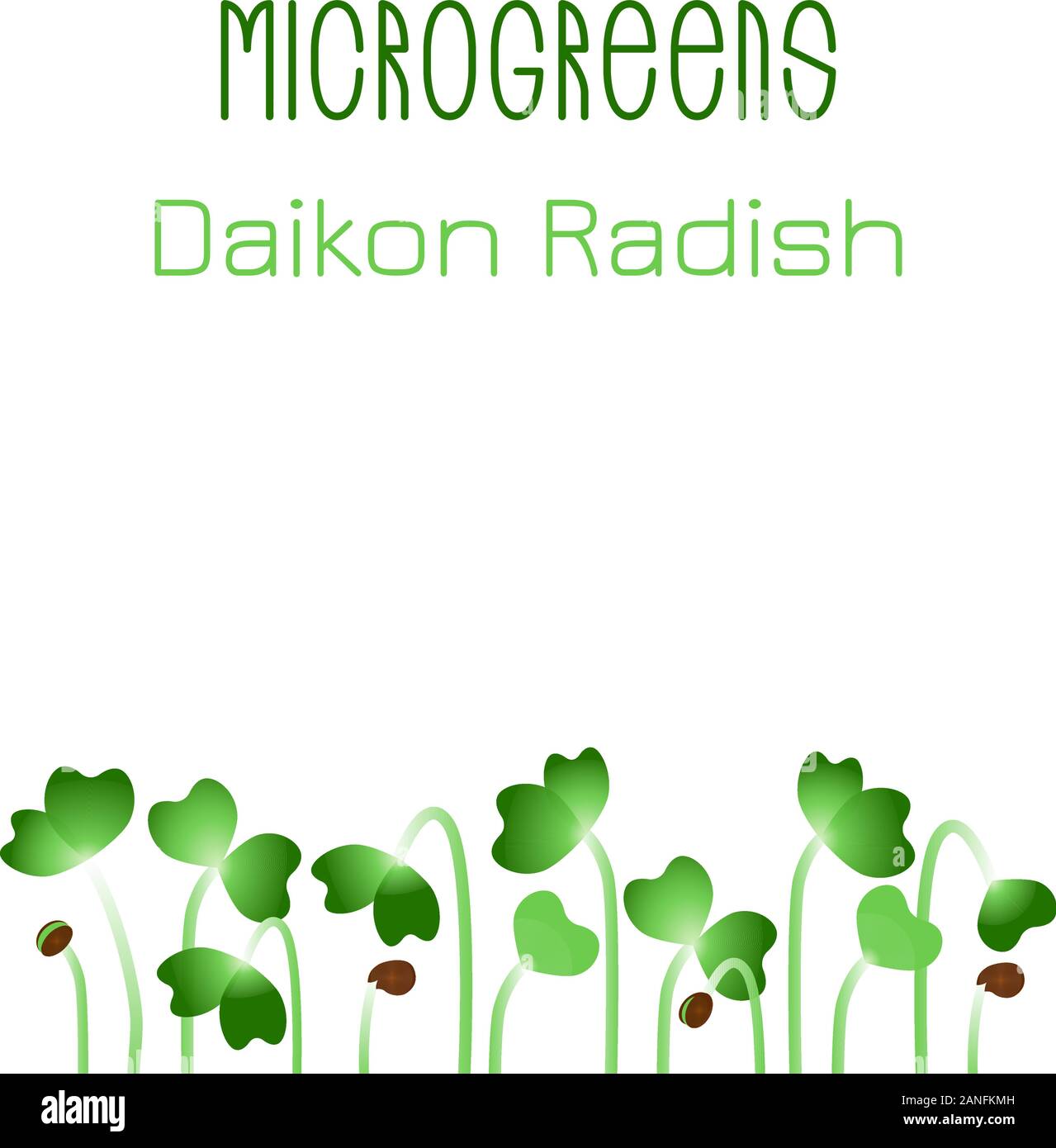 Microgreens daikon Rettich. Saatgut packaging design. Keime von Samen ...