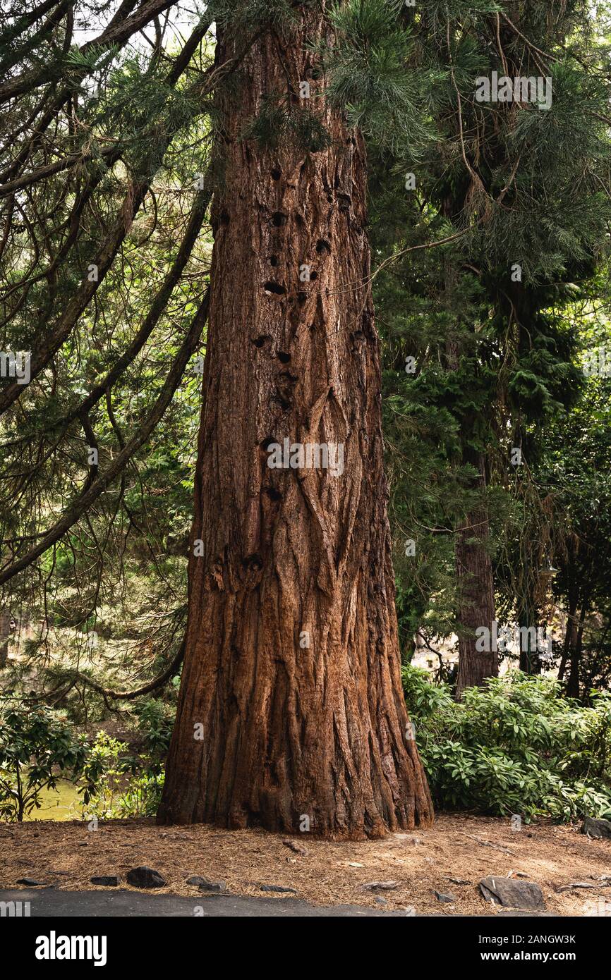Restaurant cataract gorge -Fotos und -Bildmaterial in hoher Auflösung ...