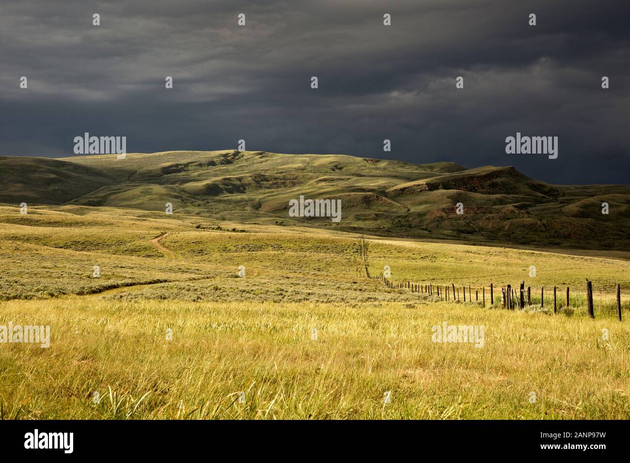 Reservoir wappen -Fotos und -Bildmaterial in hoher Auflösung – Alamy