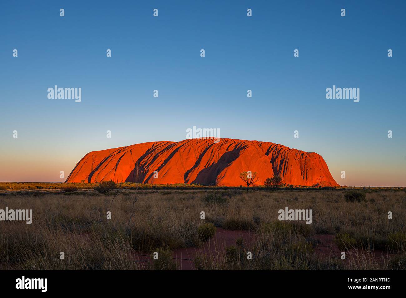 Outback szenische szenenansicht -Fotos und -Bildmaterial in hoher ...