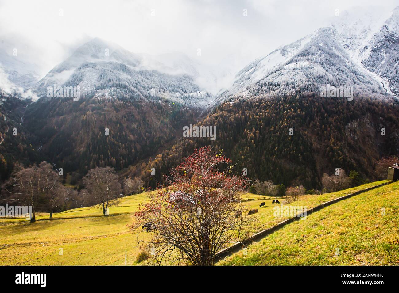 Bild von klassischen schönen lebendigen Schweizer Landschaft Mountain ...