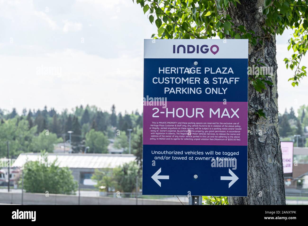 Indigo parking -Fotos und -Bildmaterial in hoher Auflösung – Alamy