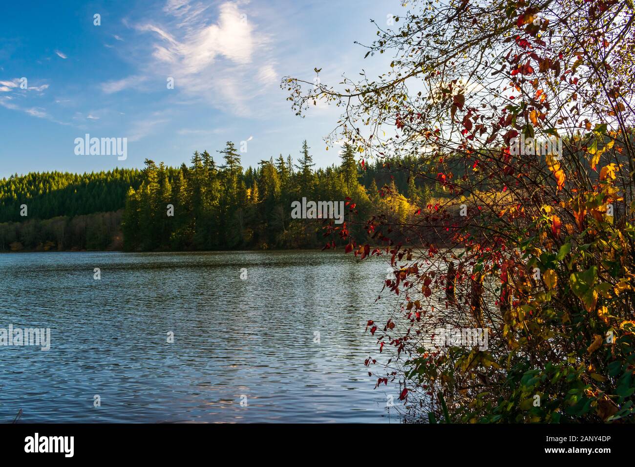Shannon nationalpark -Fotos und -Bildmaterial in hoher Auflösung – Alamy