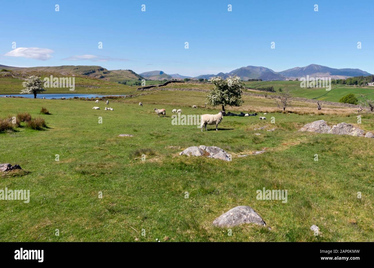 Tewet -Fotos und -Bildmaterial in hoher Auflösung – Alamy