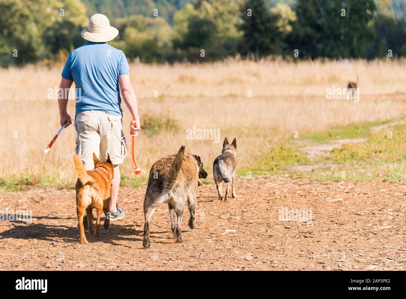 Mit hunden wandern -Fotos und -Bildmaterial in hoher Auflösung – Alamy