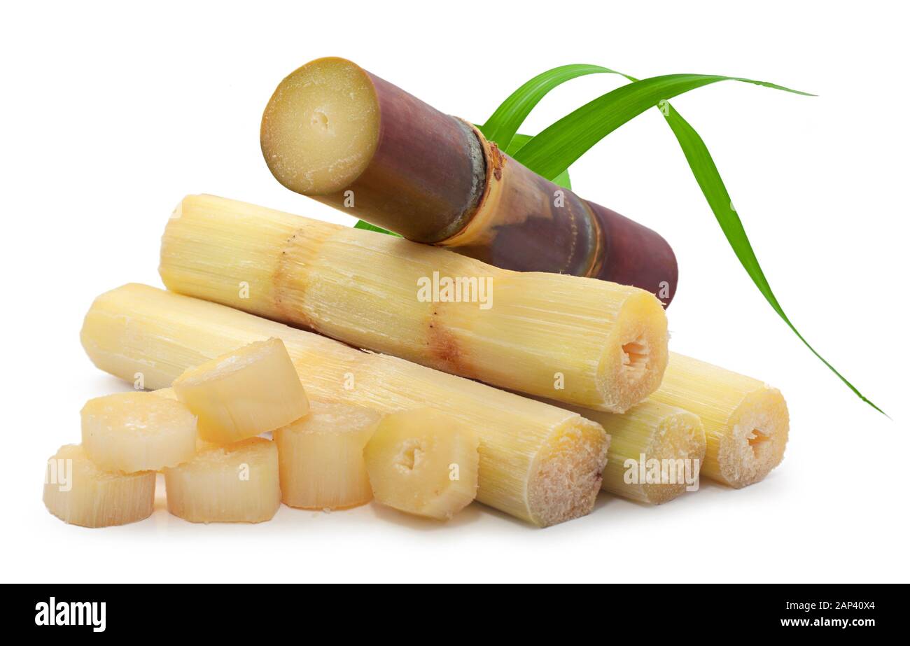 Zuckerrohr Hintergrund Stockfotos und -bilder Kaufen - Alamy
