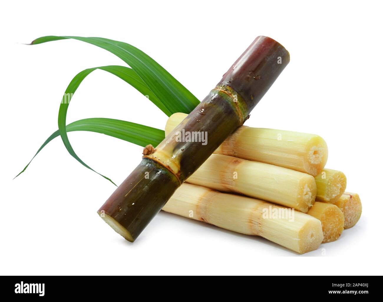 Frisches zuckerrohr -Fotos und -Bildmaterial in hoher Auflösung – Alamy