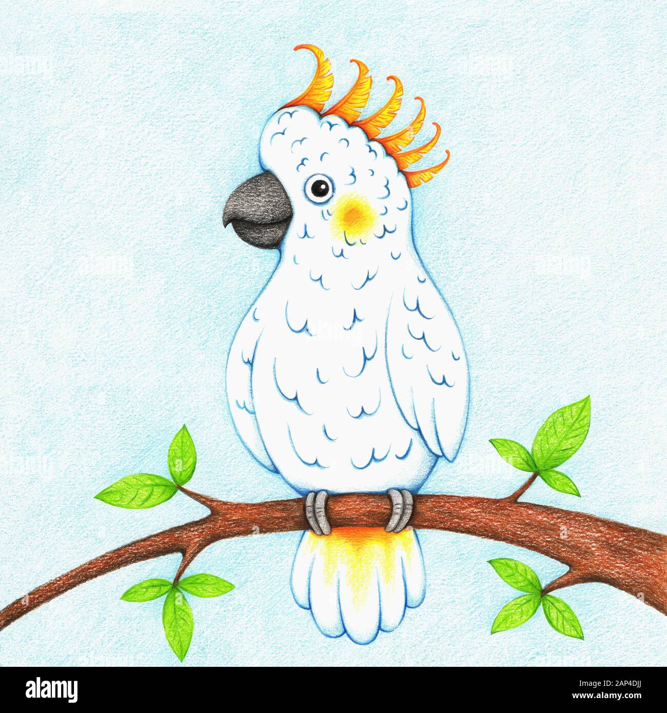 Kakadu zeichnung -Fotos und -Bildmaterial in hoher Auflösung – Alamy