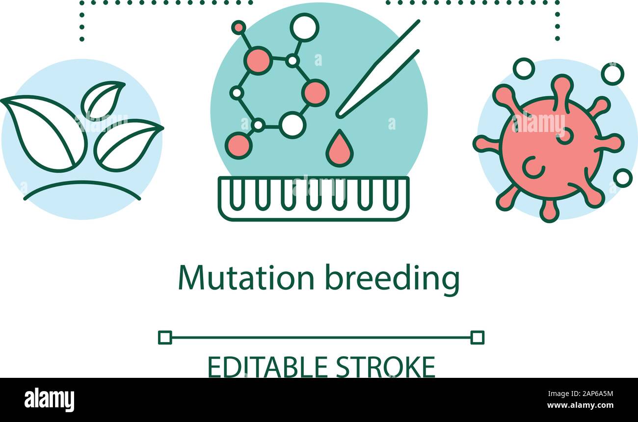 Mutationszüchtung Konzept Symbol. Gentechnik. Die mutagene Arten ...
