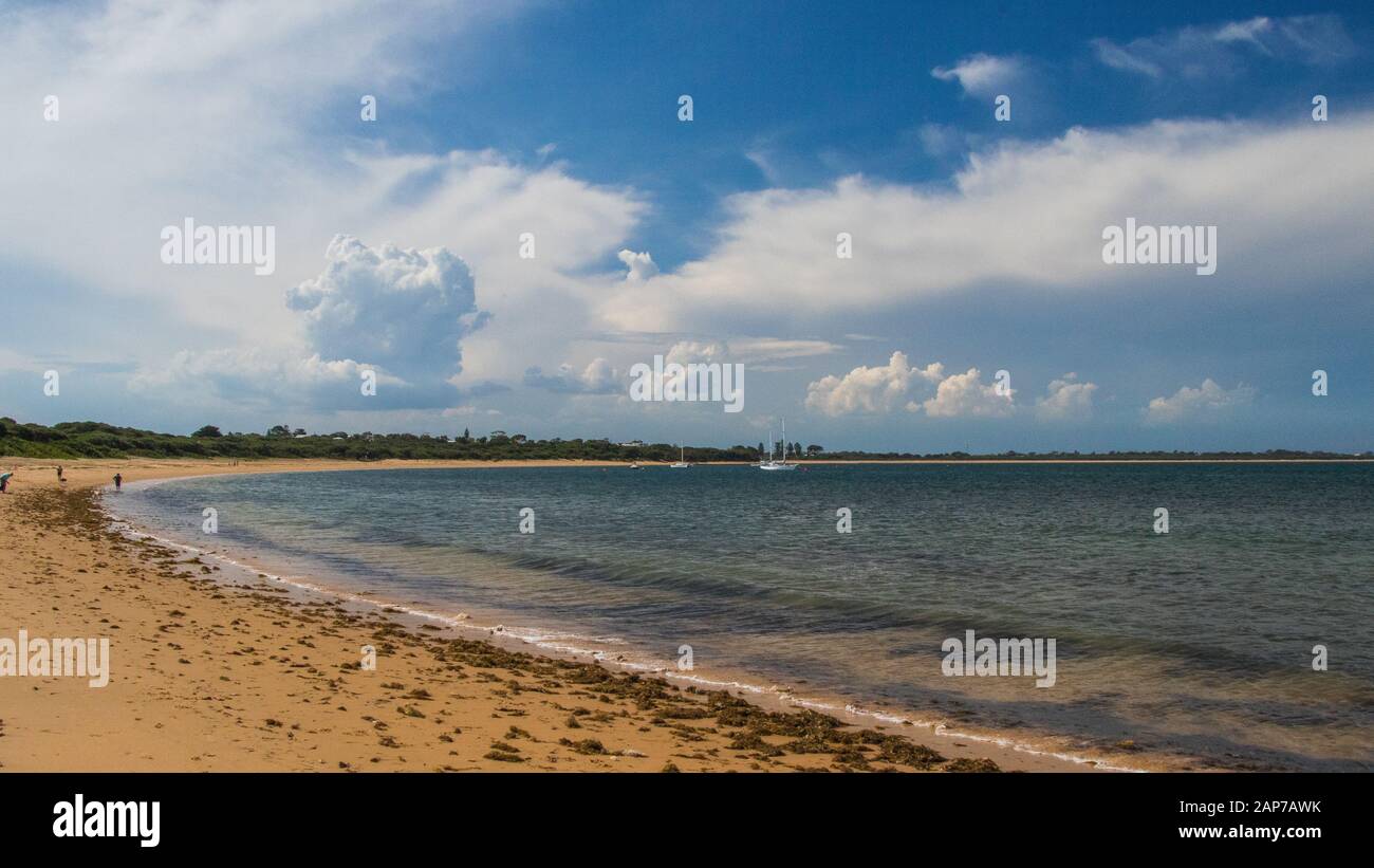 Philip island australia -Fotos und -Bildmaterial in hoher Auflösung – Alamy