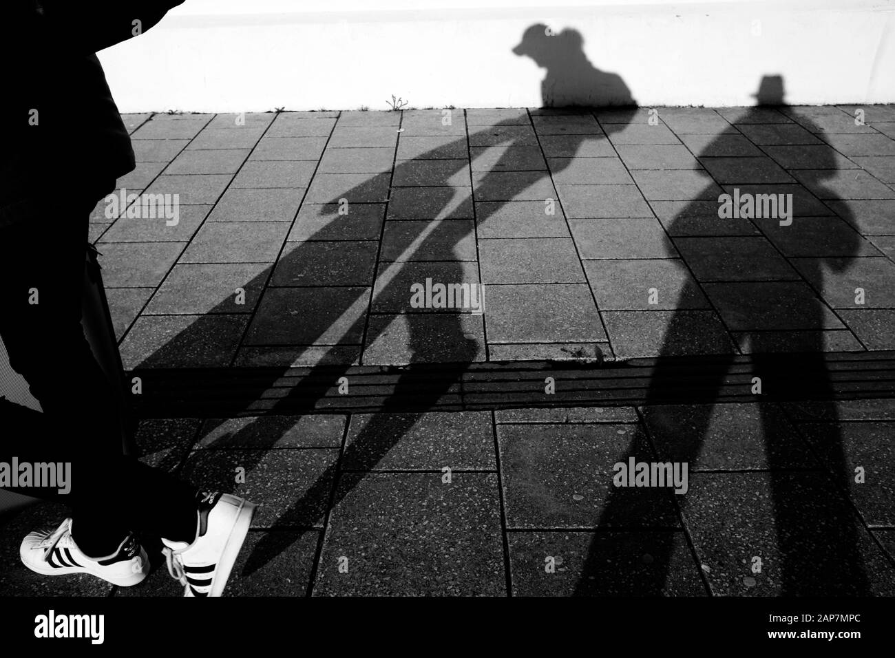 Shadow pushing trolley -Fotos und -Bildmaterial in hoher Auflösung – Alamy