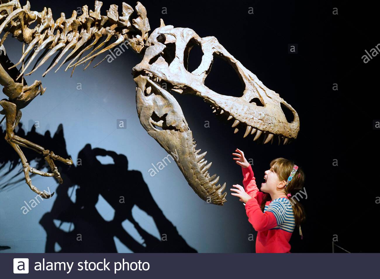 Museum of scotland edinburgh dinosaur -Fotos und -Bildmaterial in hoher ...