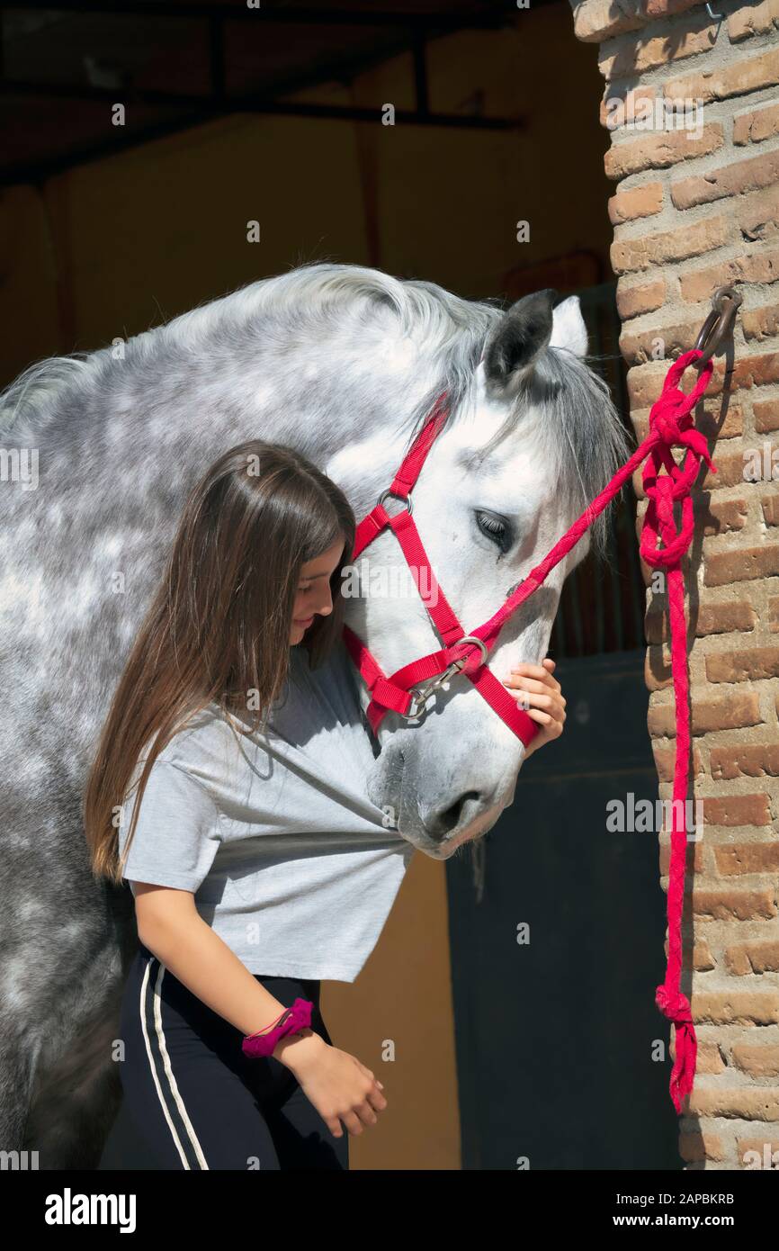 Pferd umarmen -Fotos und -Bildmaterial in hoher Auflösung – Alamy