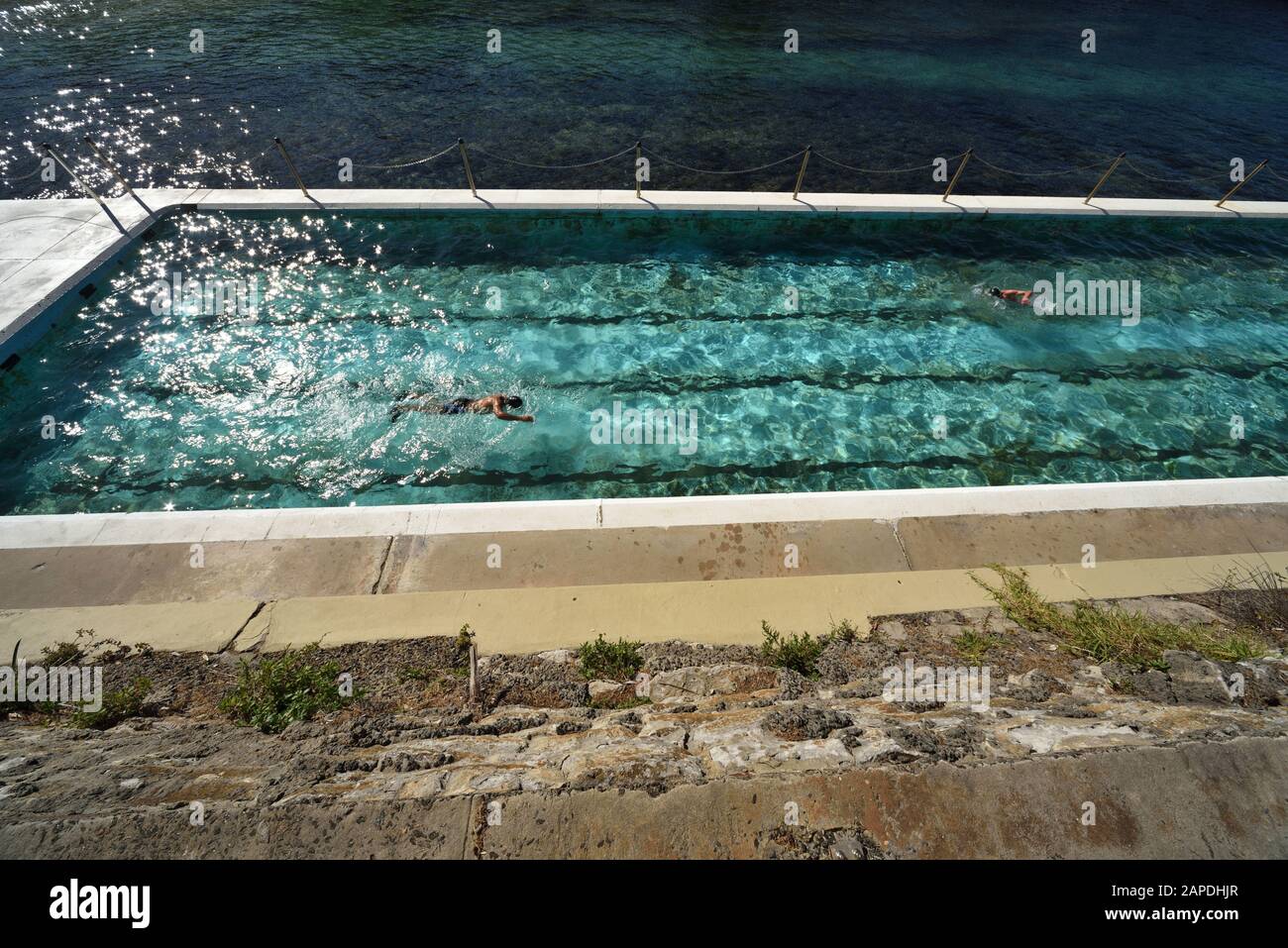David hockney pool -Fotos und -Bildmaterial in hoher Auflösung – Alamy