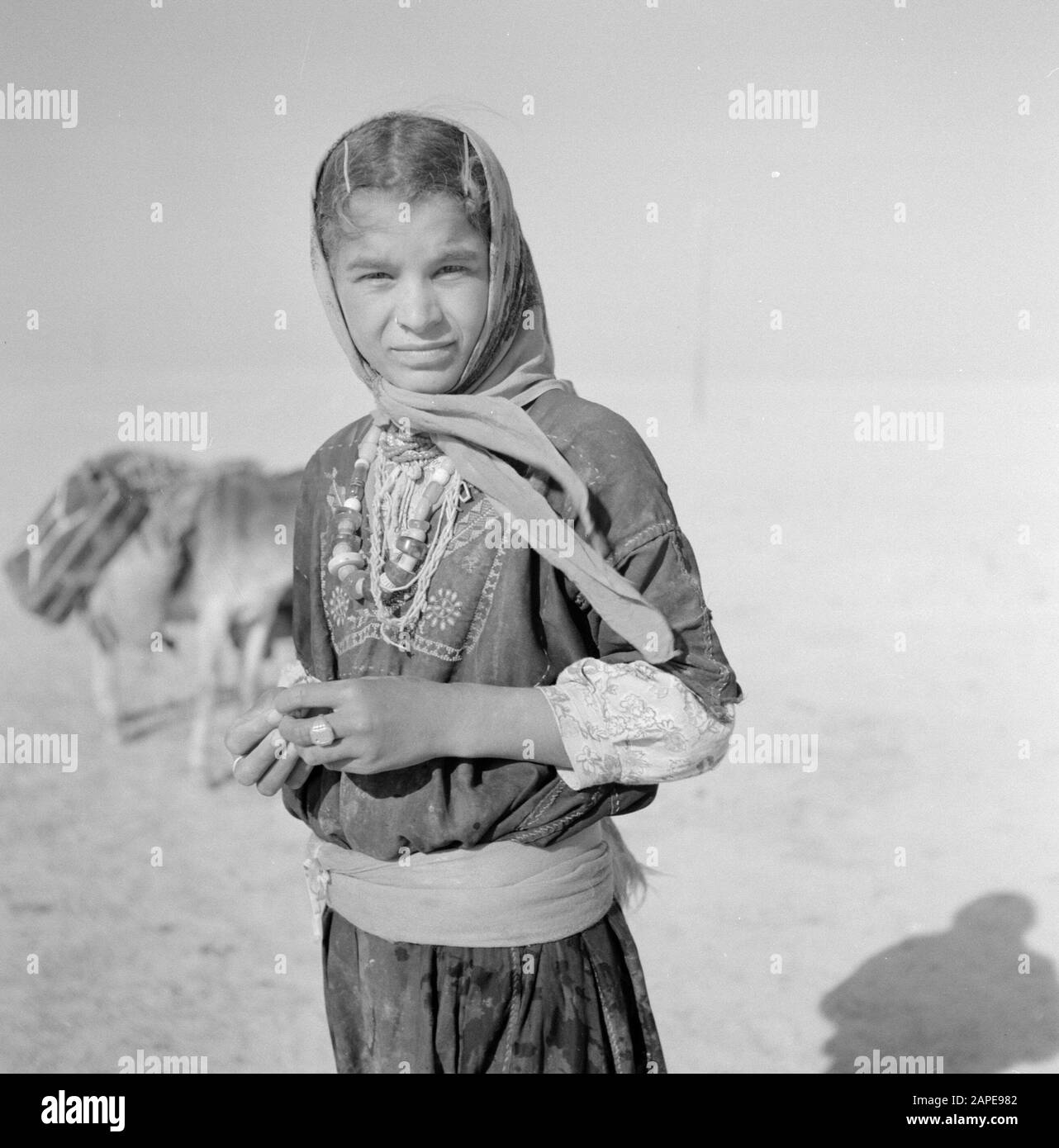 Israel negev desert bedouin girl -Fotos und -Bildmaterial in hoher ...