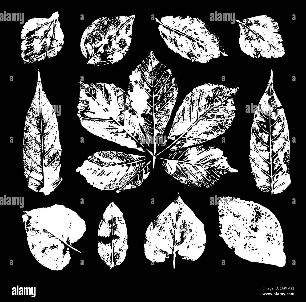 Scrapbooking vector vectors -Fotos und -Bildmaterial in hoher Auflösung ...