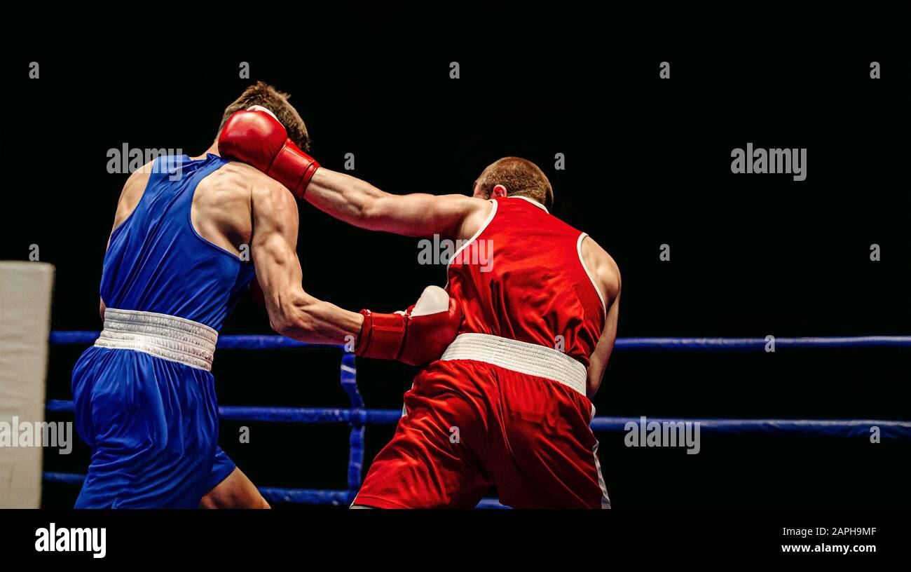 Professional boxer -Fotos und -Bildmaterial in hoher Auflösung – Alamy