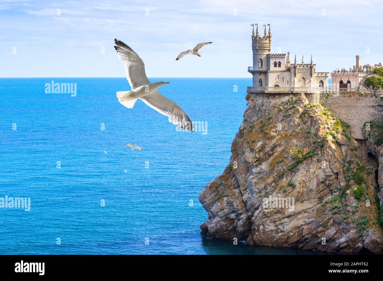 Vogelnest im schloss -Fotos und -Bildmaterial in hoher Auflösung – Alamy