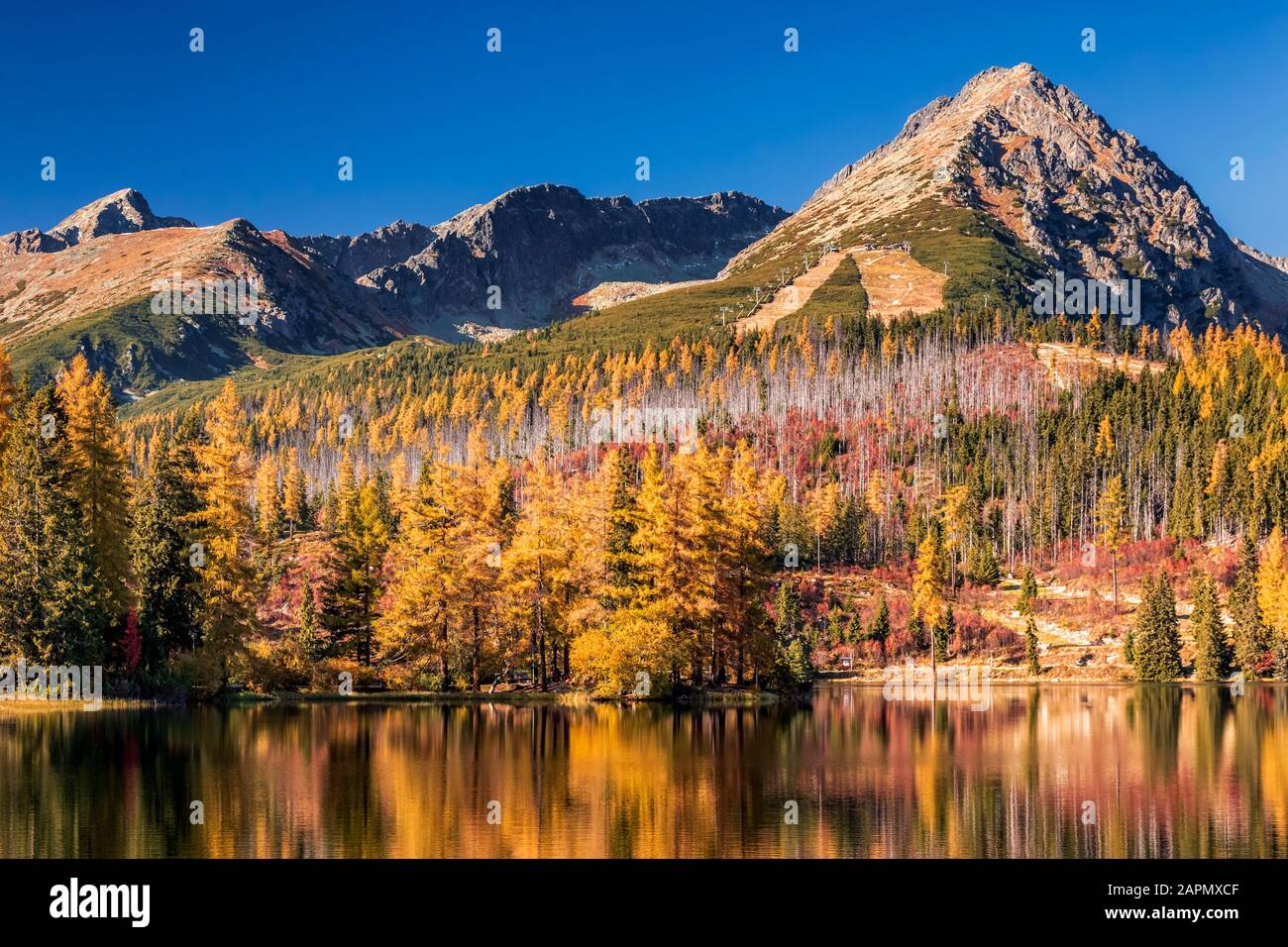 Bergsee im Nationalpark Hohe Tatra. Strbske pleso, Slowakei, Europa ...