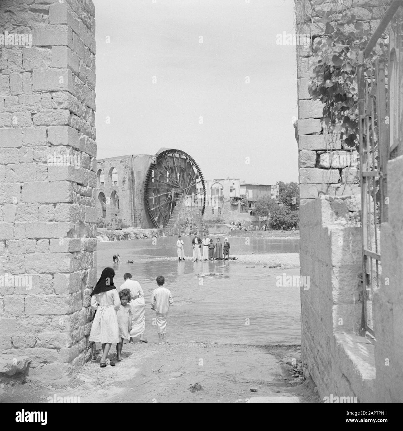 Naher Osten 1950-1955: Syrien Holzwasserrad am Orontes in Hama. Kinder ...
