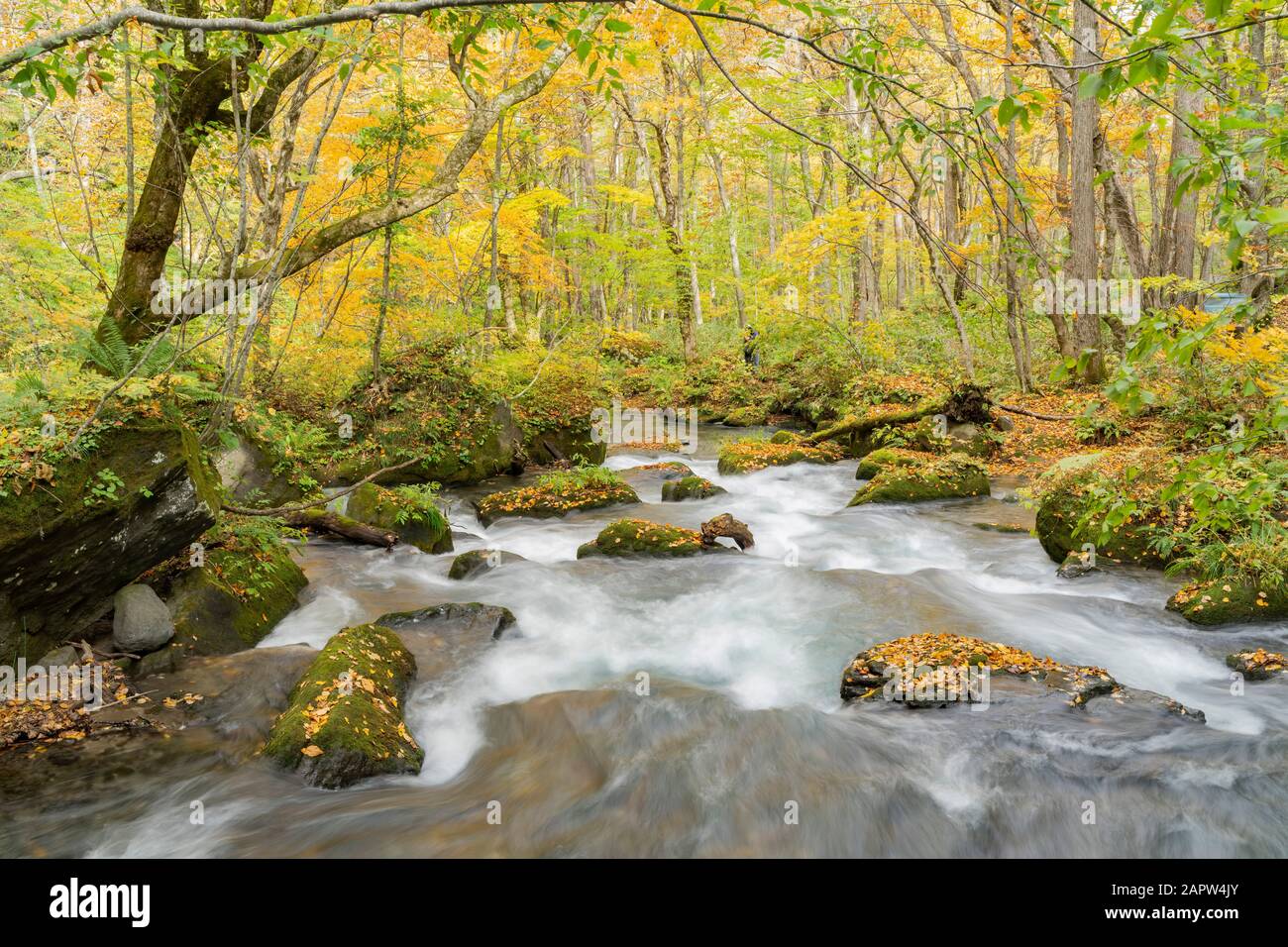 Oirase gorge -Fotos und -Bildmaterial in hoher Auflösung – Alamy