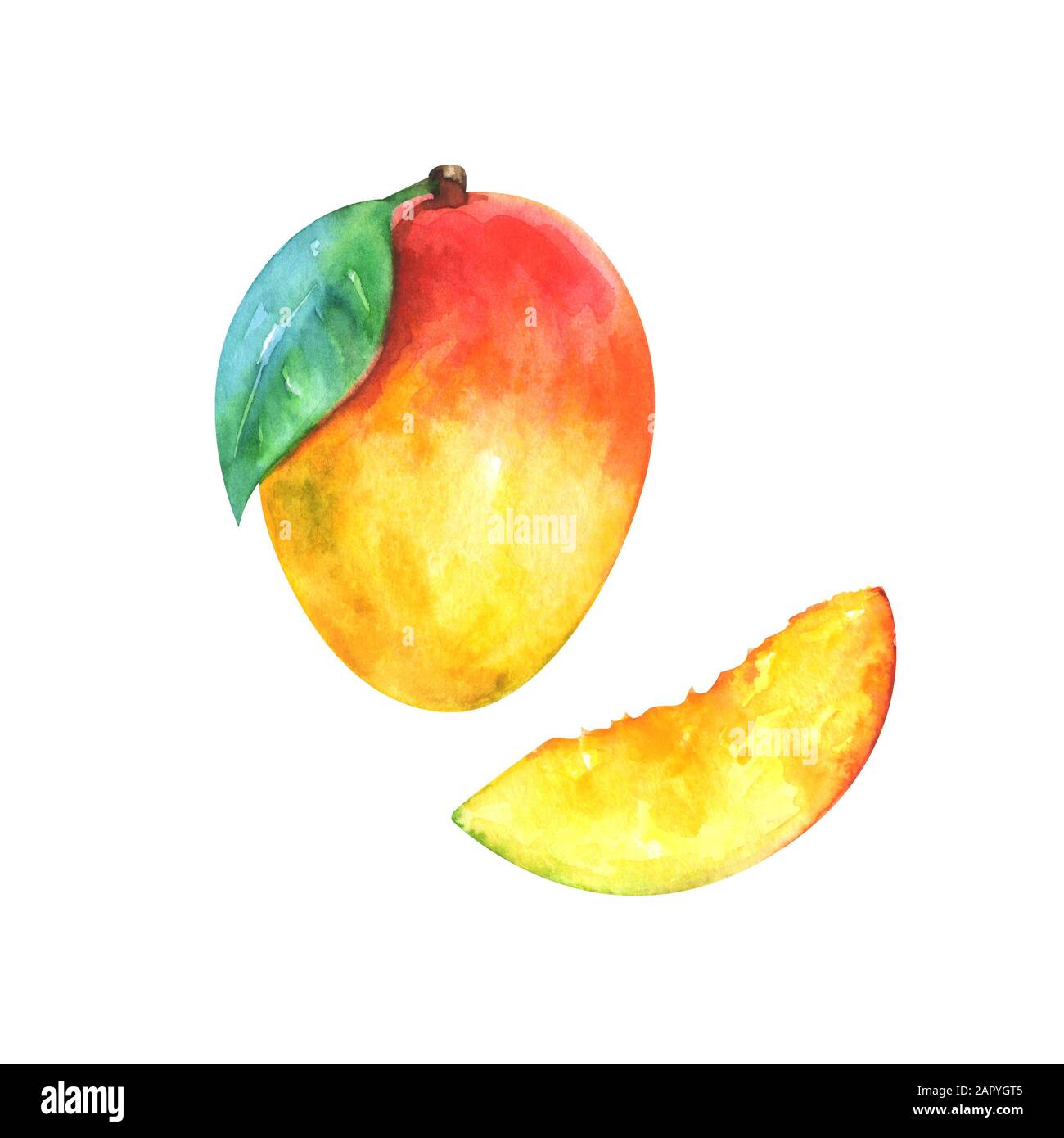 Aquarell illustration -Fotos und -Bildmaterial in hoher Auflösung – Alamy