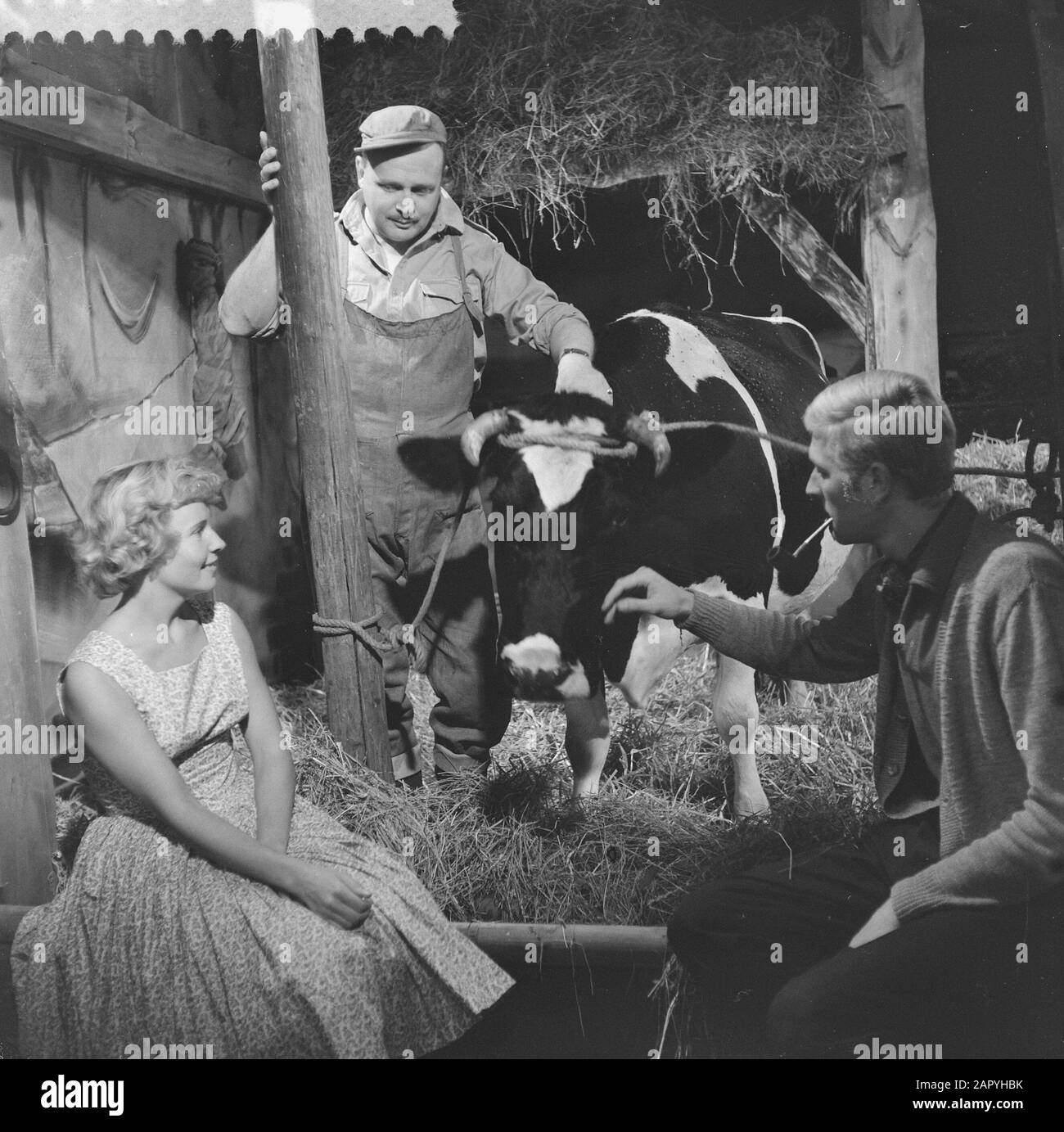 Wird van selst -Fotos und -Bildmaterial in hoher Auflösung – Alamy