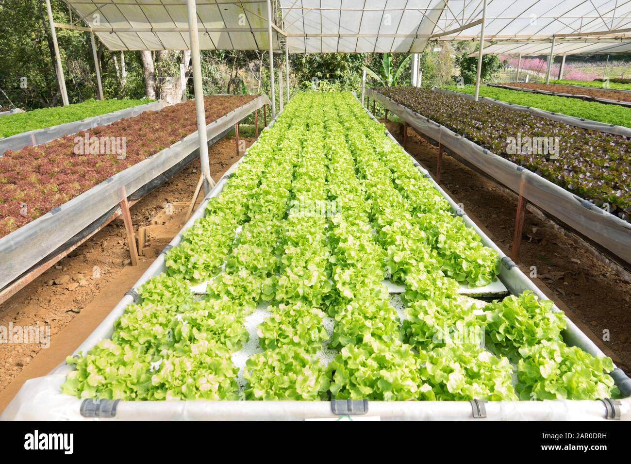 Erde ohne wasser und pflanzen -Fotos und -Bildmaterial in hoher ...