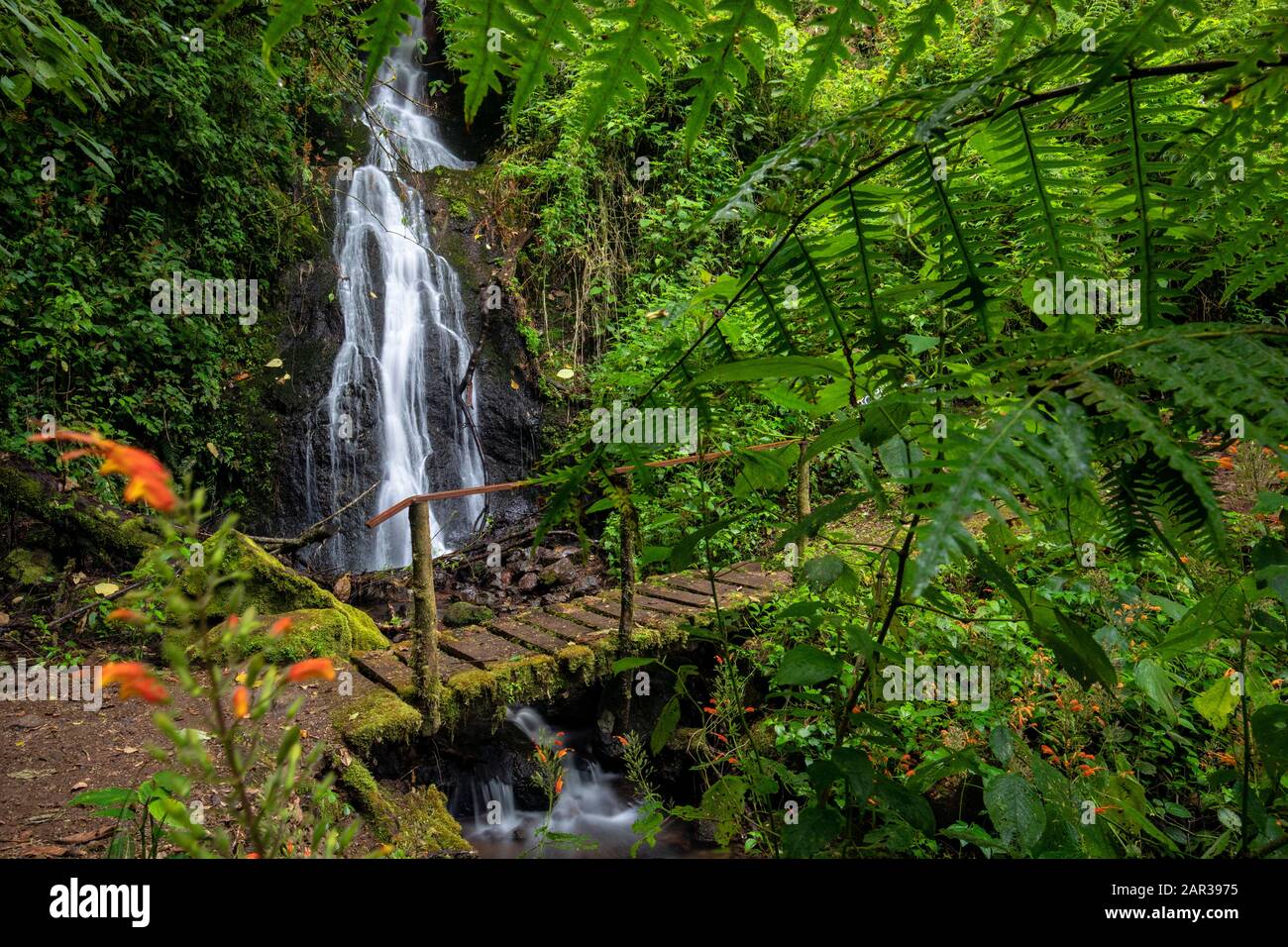 Cascada Las Bromelias Wasserfall - Paraiso Quetzal Lodge, San Gerardo ...