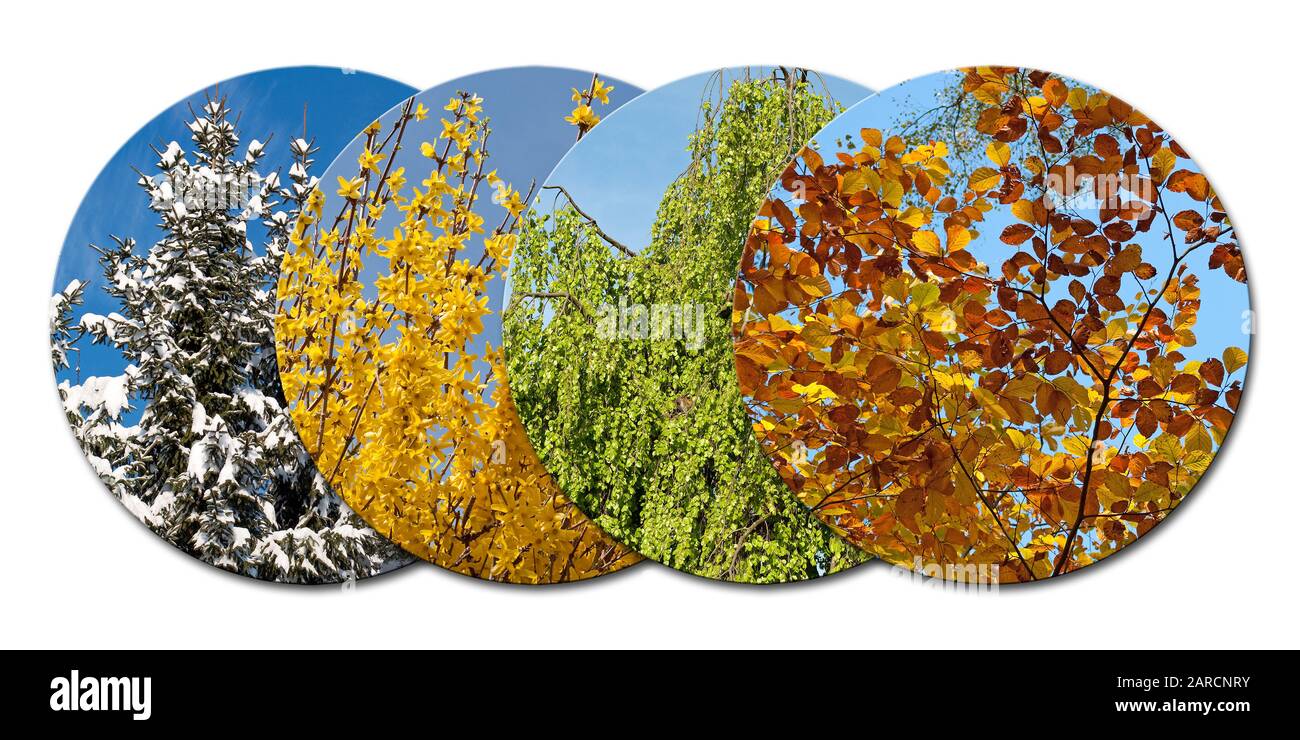 Natur in vier jahreszeiten -Fotos und -Bildmaterial in hoher Auflösung – Alamy