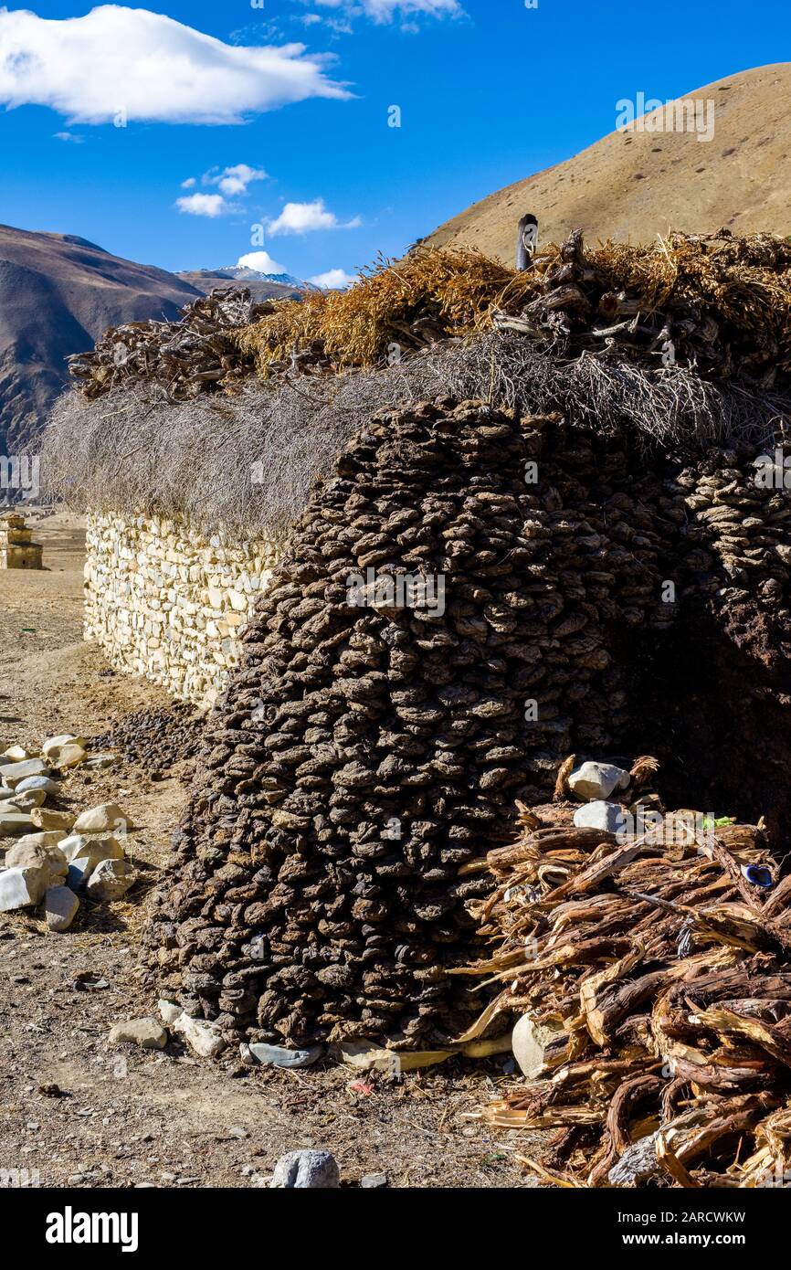 Yak dung -Fotos und -Bildmaterial in hoher Auflösung – Alamy