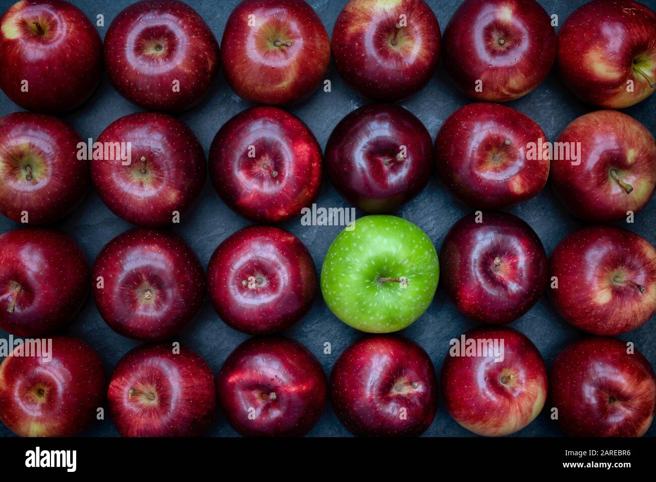 Apple malus domestica green apple -Fotos und -Bildmaterial in hoher ...