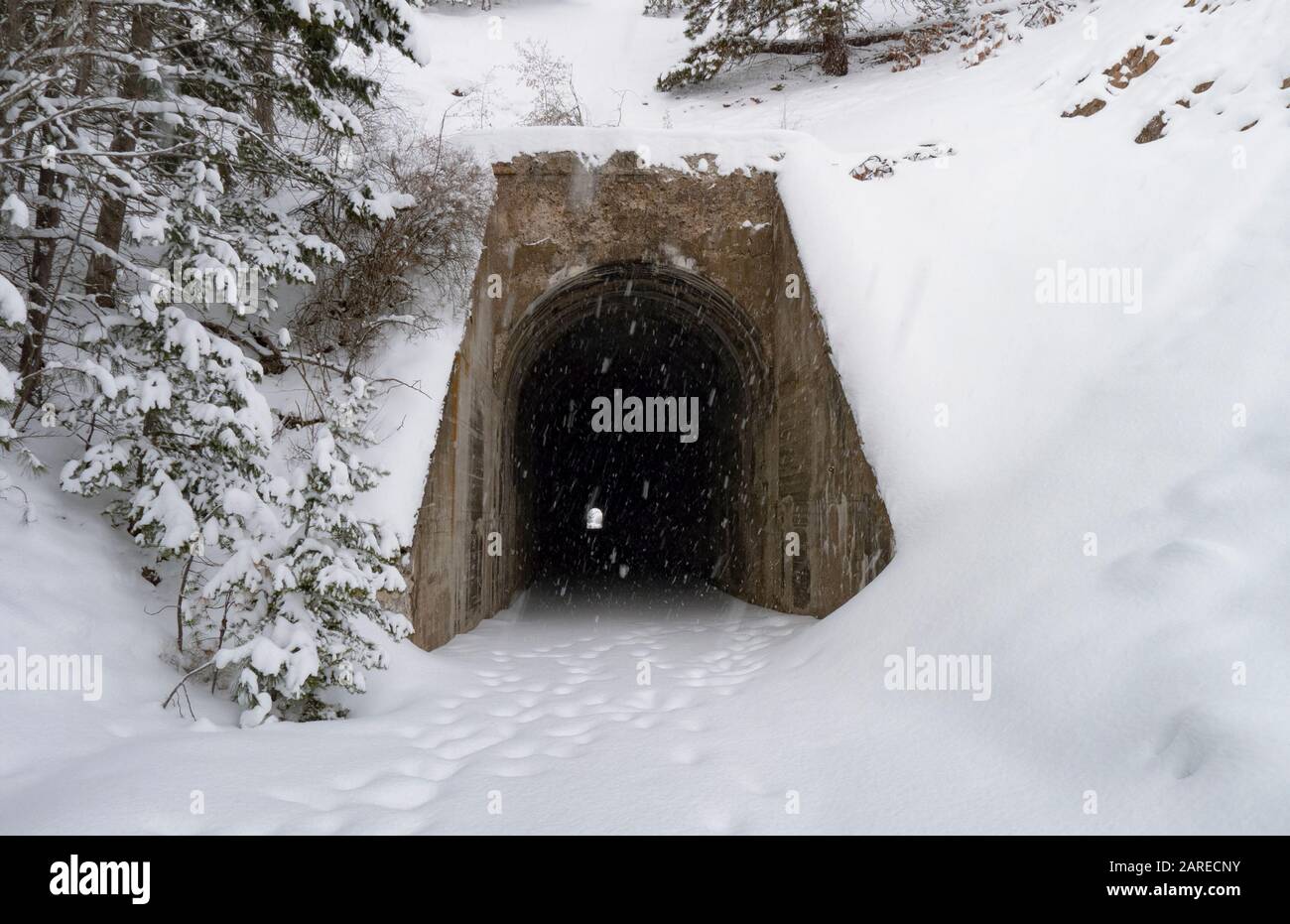 Schne Beim Befahren Eines Tunnels Fotos