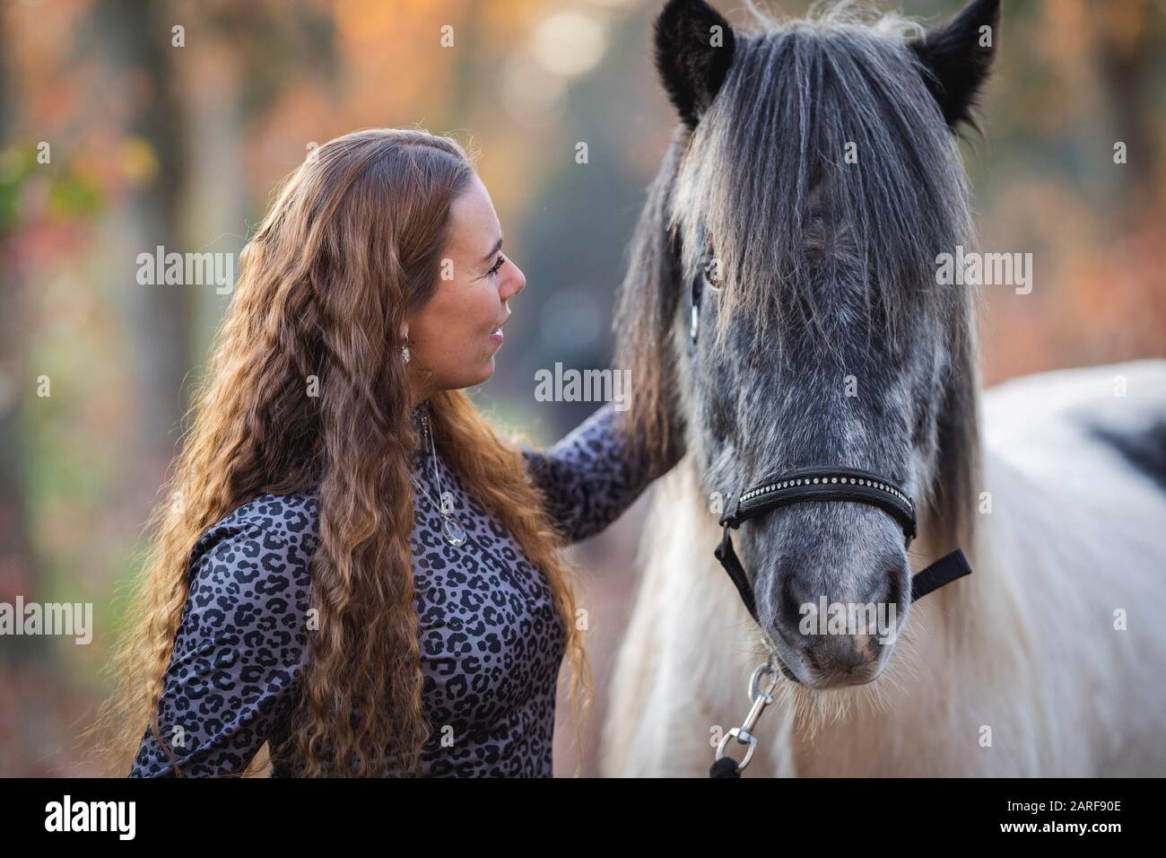 Junges Mädchen Mit Ihrem Pferd Stockfotos und -bilder Kaufen - Alamy