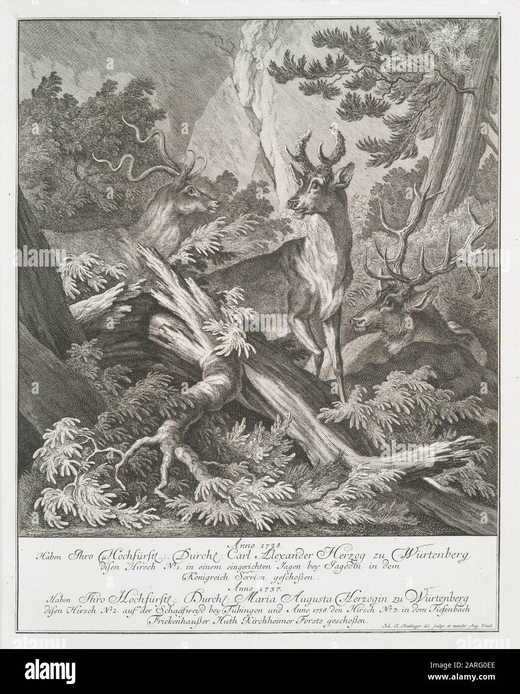 Carl hirsch -Fotos und -Bildmaterial in hoher Auflösung – Alamy