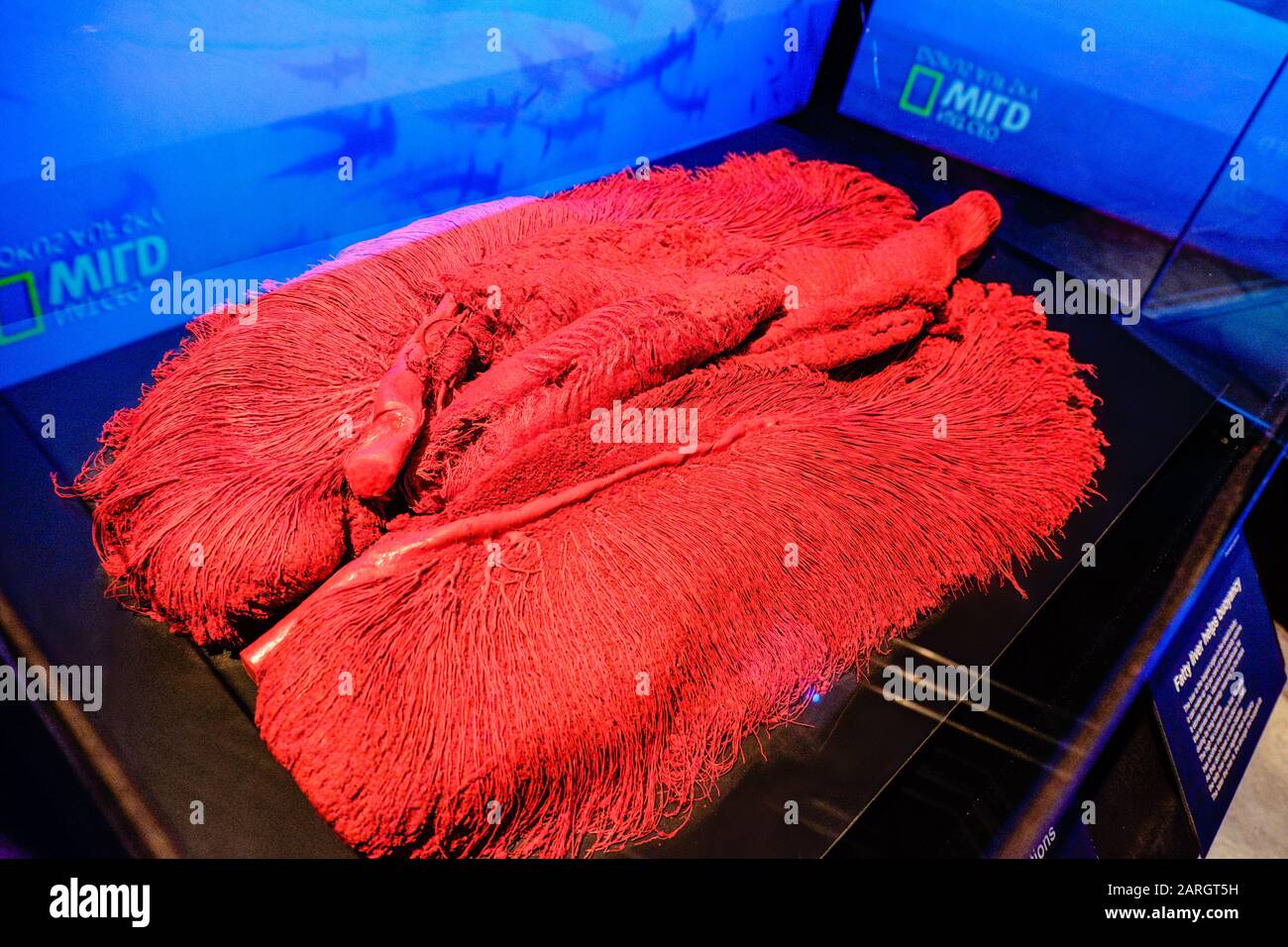 Plastinated Shark's Lever: Dr. Gunther von Hagens' Body Worlds: Animals ...