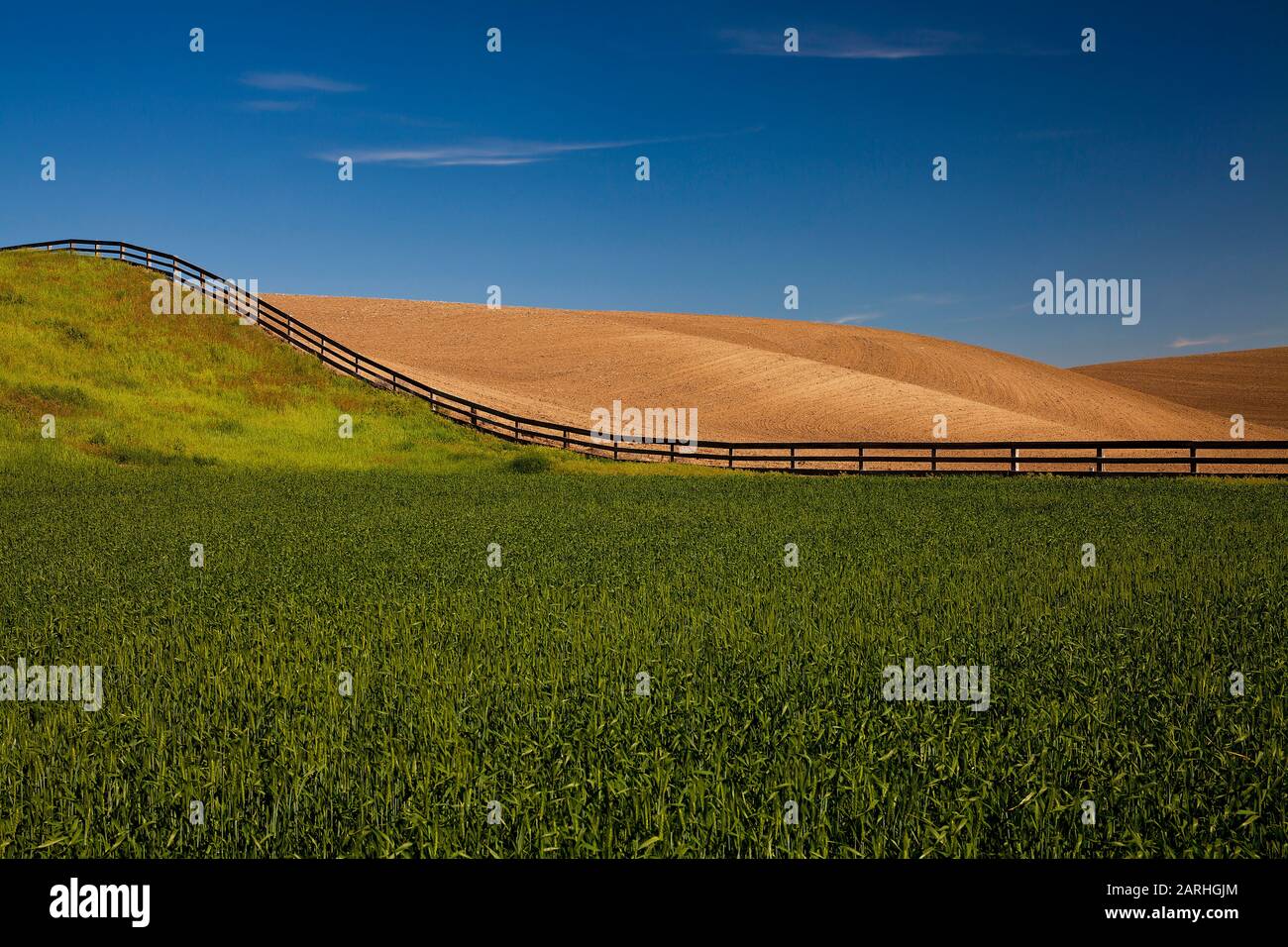 Palouse weizenfelder -Fotos und -Bildmaterial in hoher Auflösung – Alamy