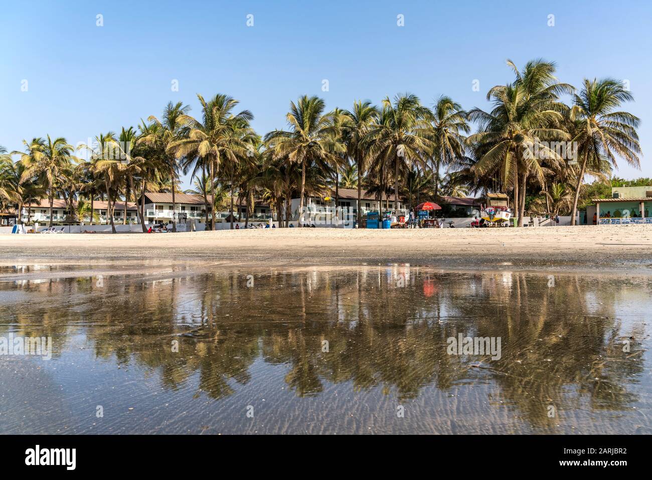 Palmen am Strand von Kotu spiegeln sich bei Ebbe im flachen Wasser ...